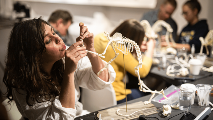 13+ Networking Event Ideas to Connect and Wow Professionals