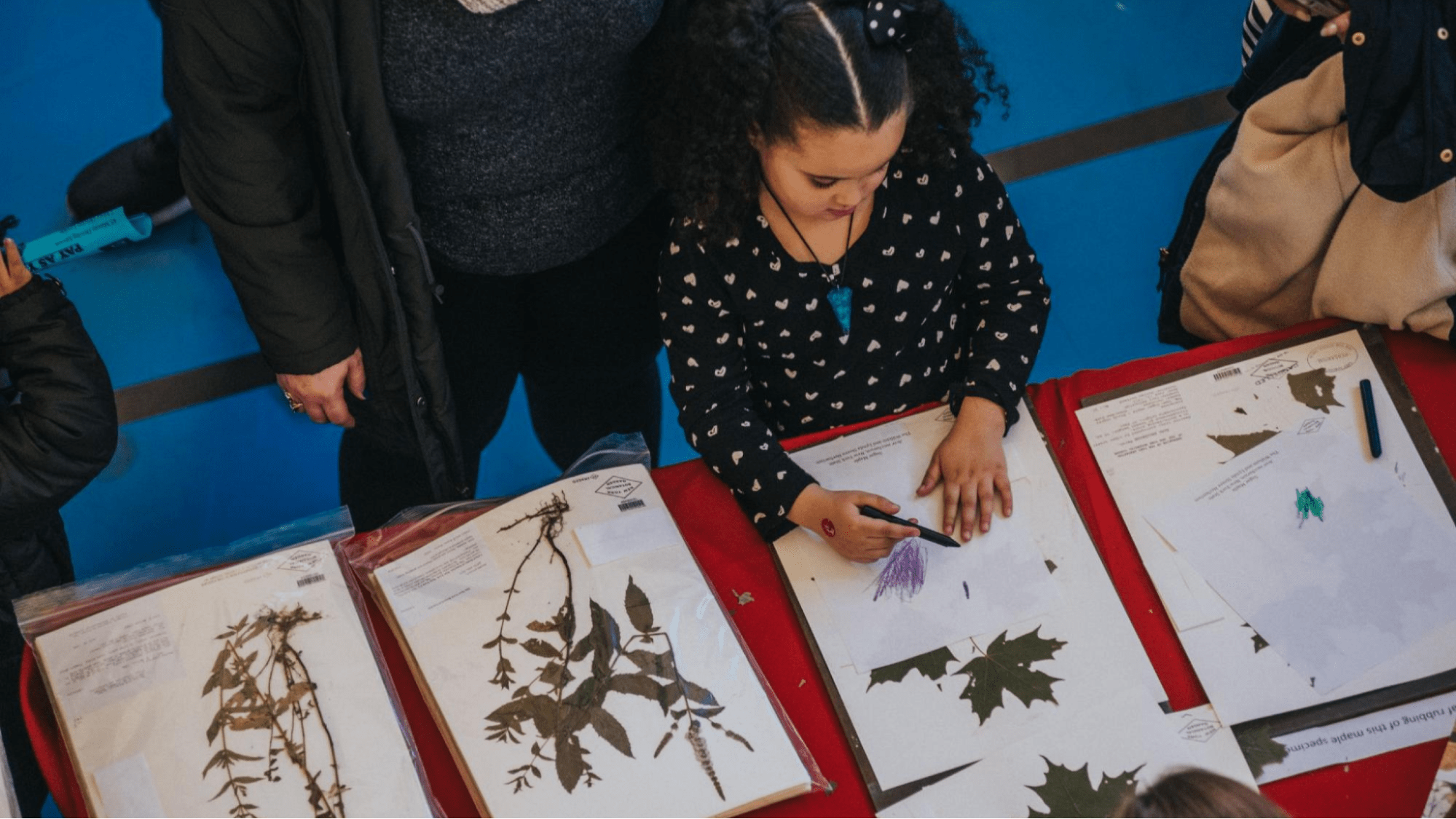 Workshop Planning Tips to Organize, Develop, and Sell Out